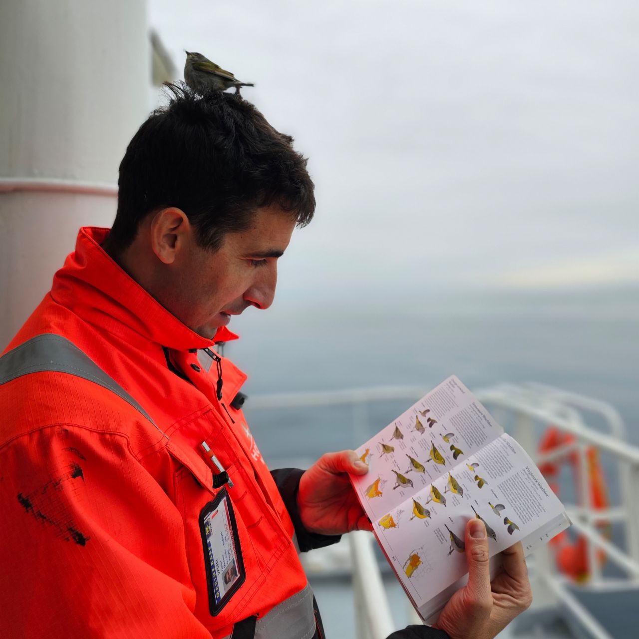 Sustainability – KOTUG Canada